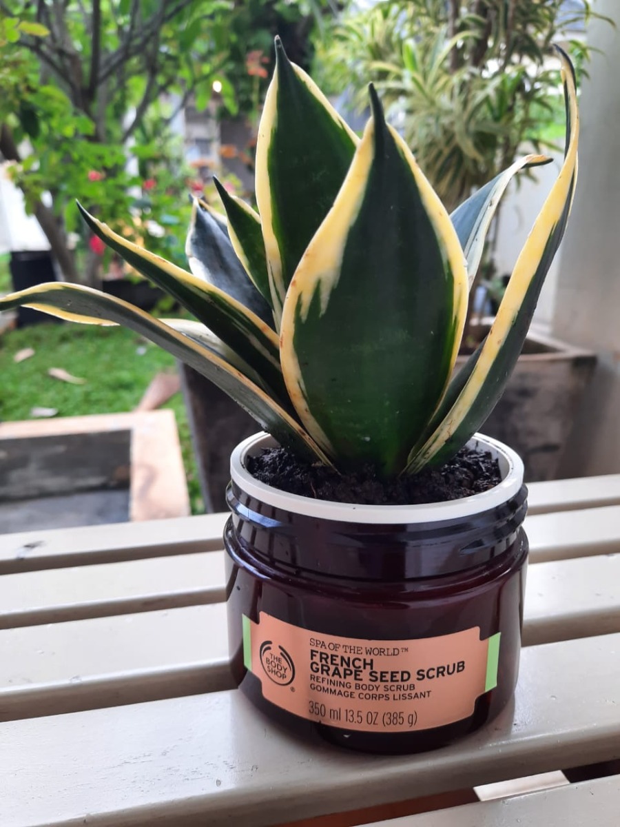 Bring Back Our Bottles (BBOB)