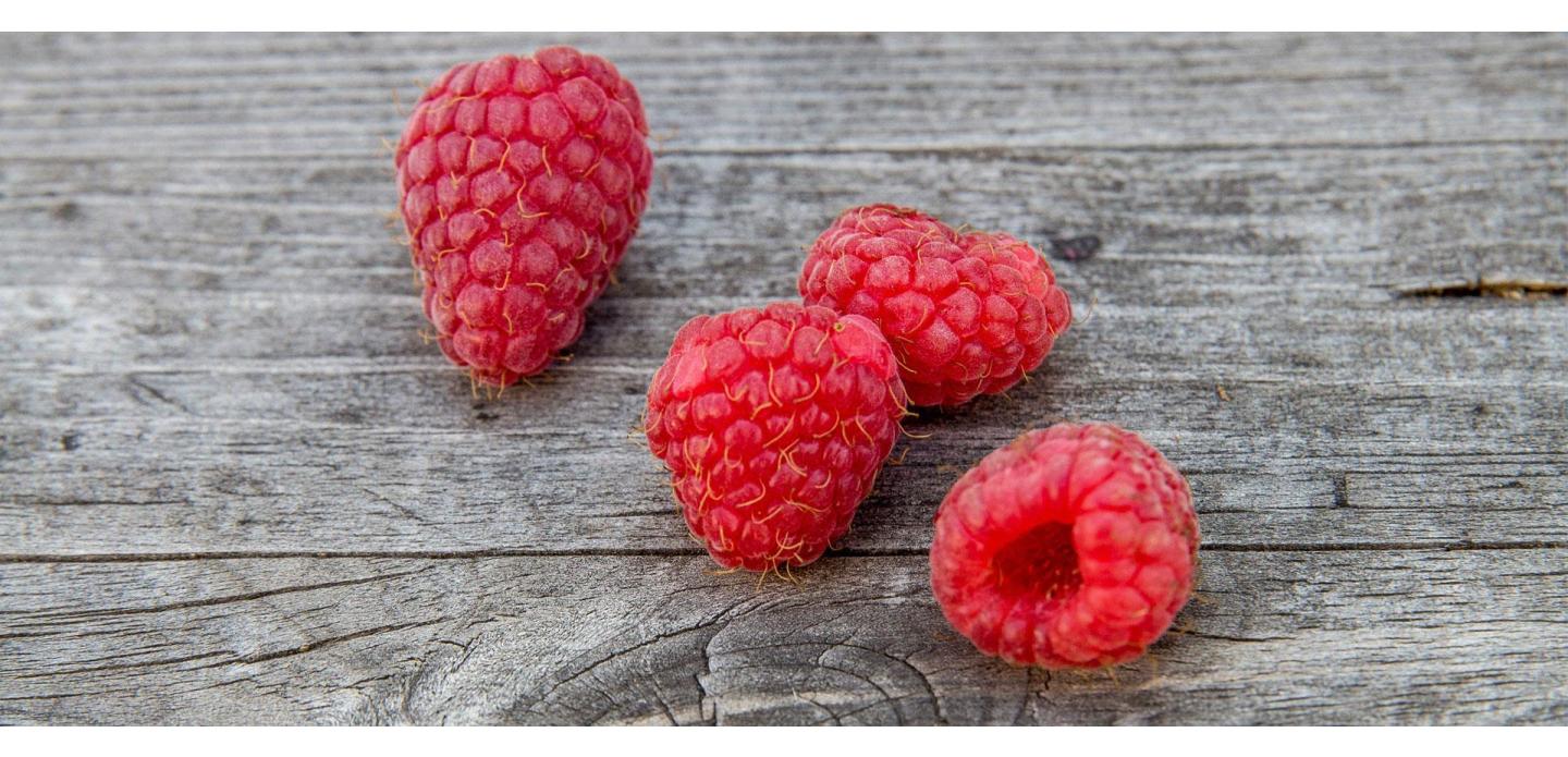 The Body Shop Official | Toko Produk Kecantikan & Perawatan Tubuh